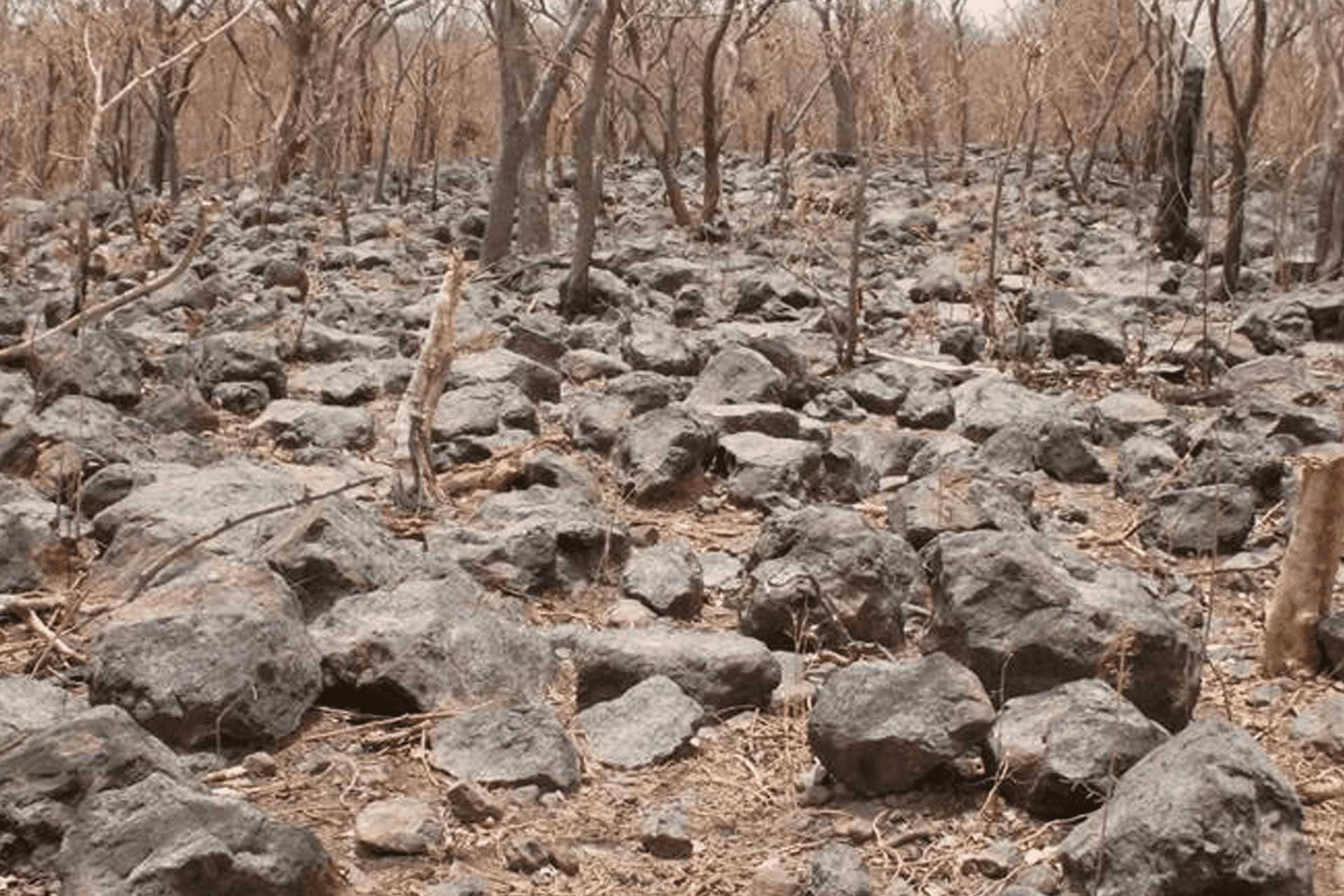 Minergyresources